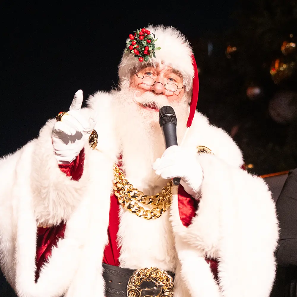 Home page [thedistillerywintervillage.com]